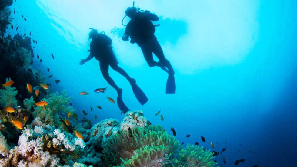 26 Best Things to Do in Baja California Sur, Mexico - Pirate ...